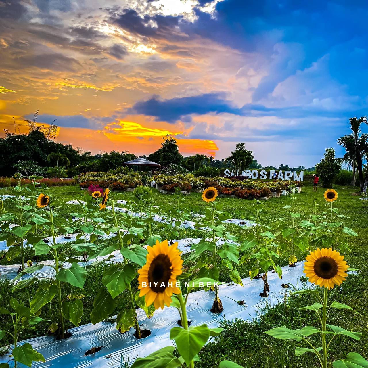 Exploring the Scenic Places: A Road Trip Guide to the Best Spots Near ...