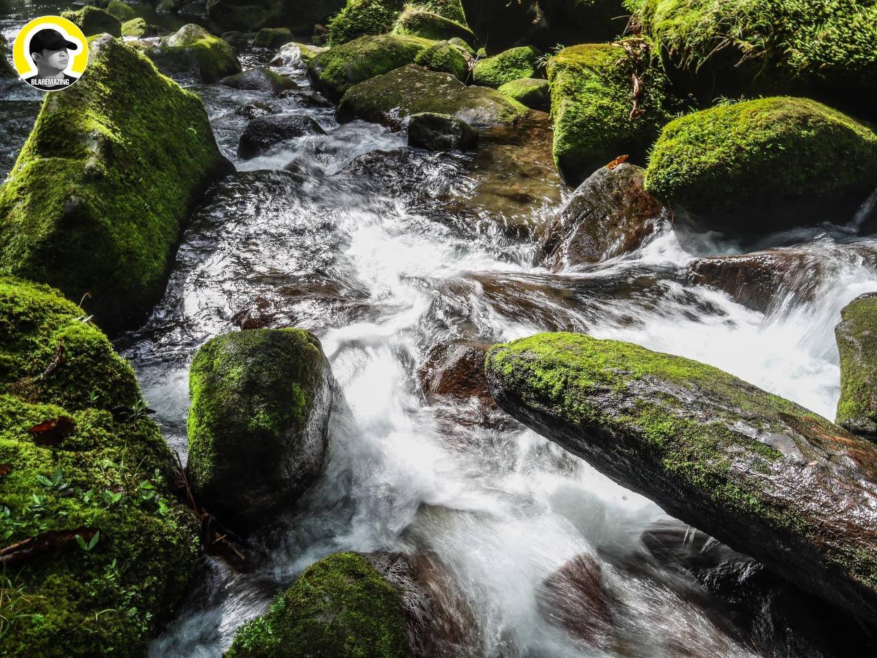 Exploring the Scenic Places: A Road Trip Guide to the Best Spots Near ...
