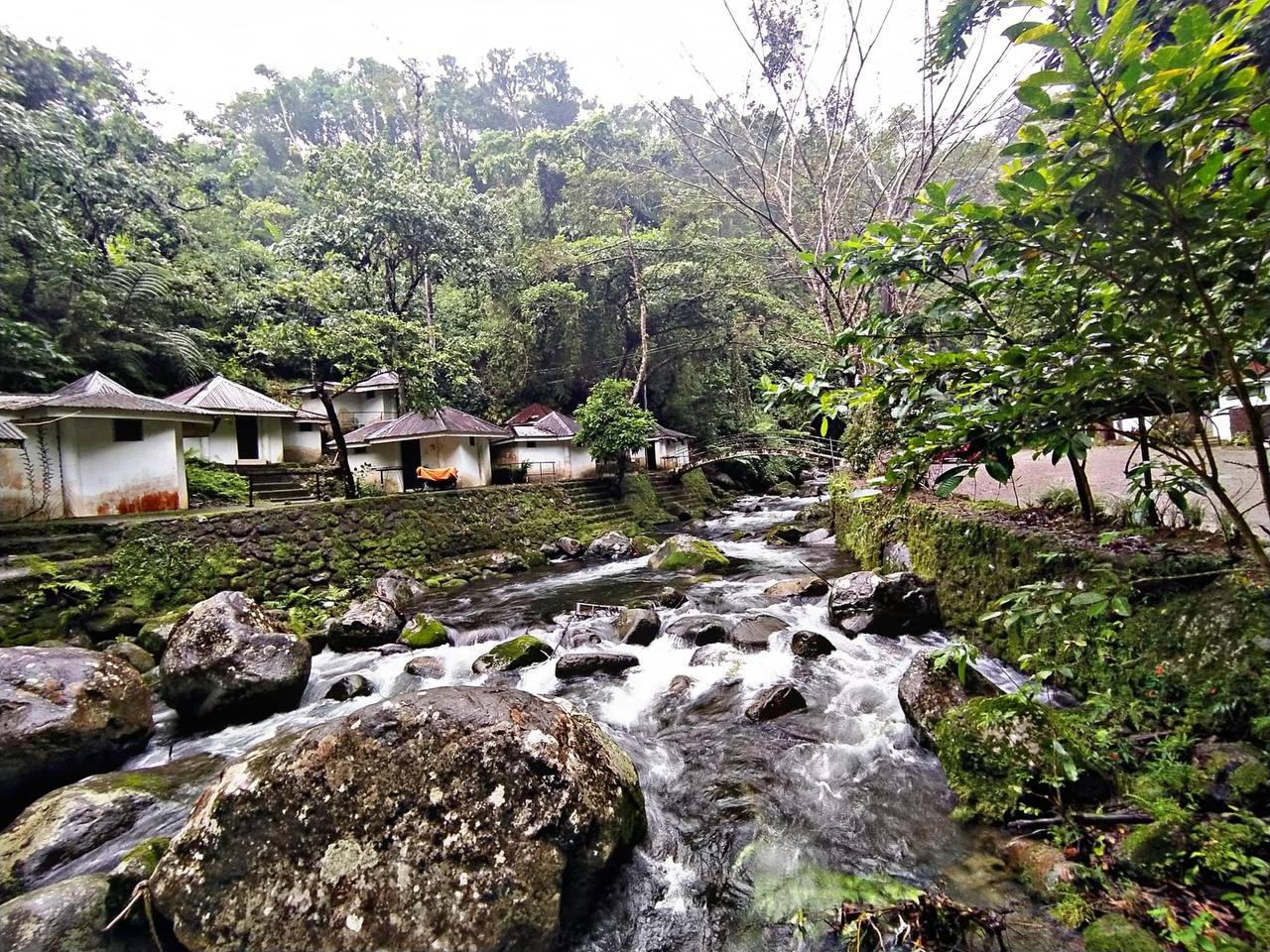 Exploring the Scenic Places: A Road Trip Guide to the Best Spots Near ...